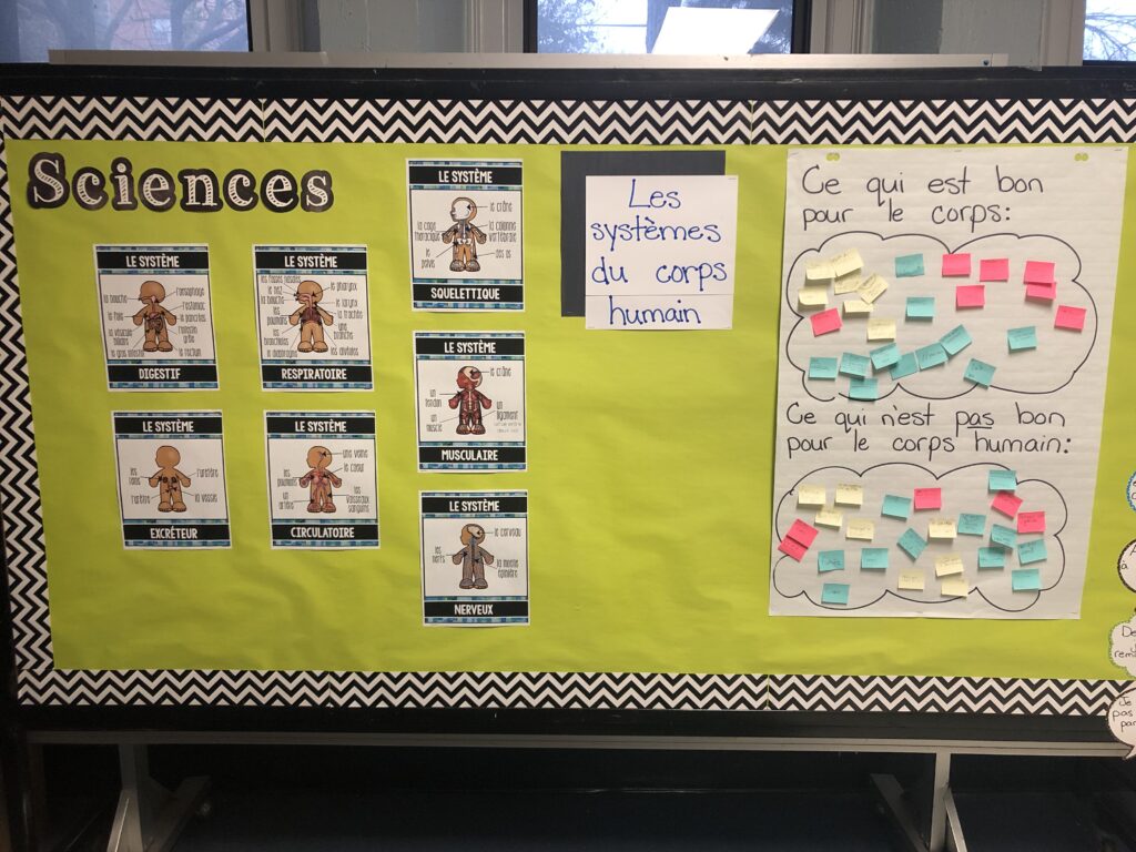 Science Human Organ Systems La Classe De Mme Baker