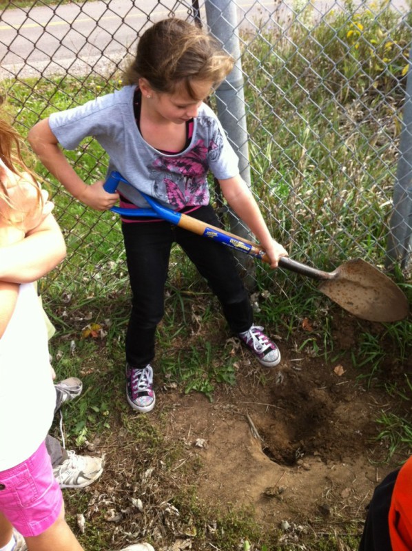 Empower™ Reading – The Learning Centre