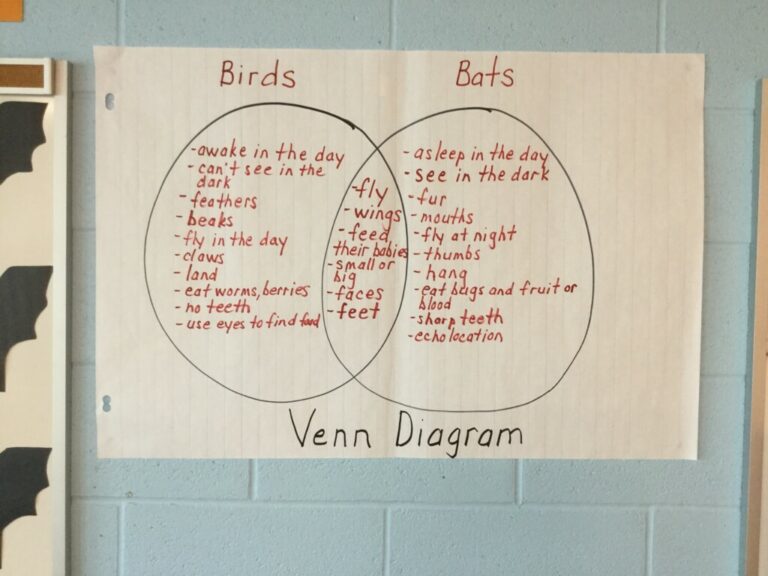 Venn Diagram | Ms. Downey"s Kinder "GARDEN"