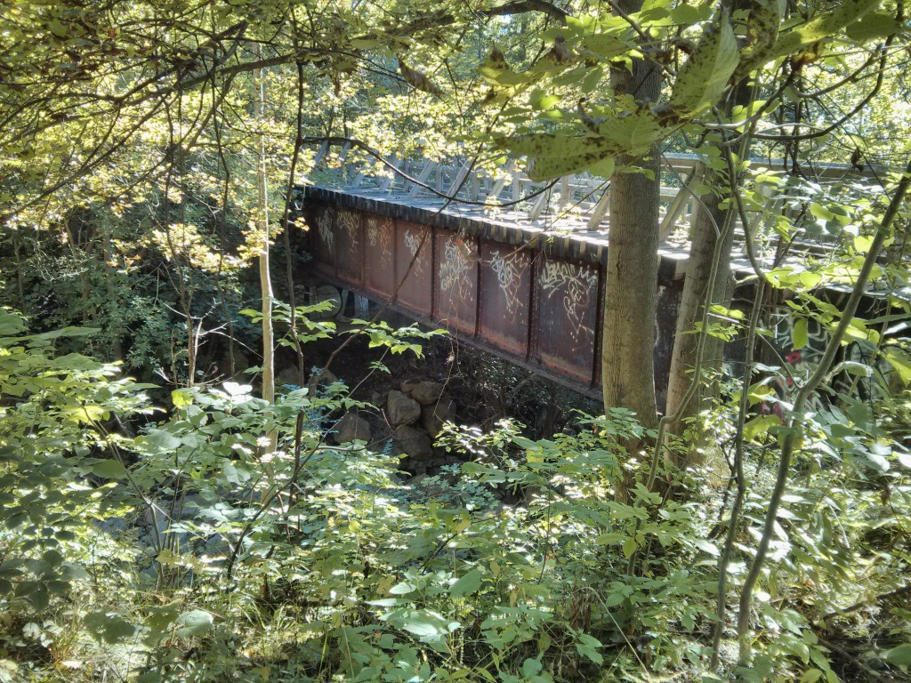 IMG_20130917_102743 – Mrs. Dunford's Fabulous 4s