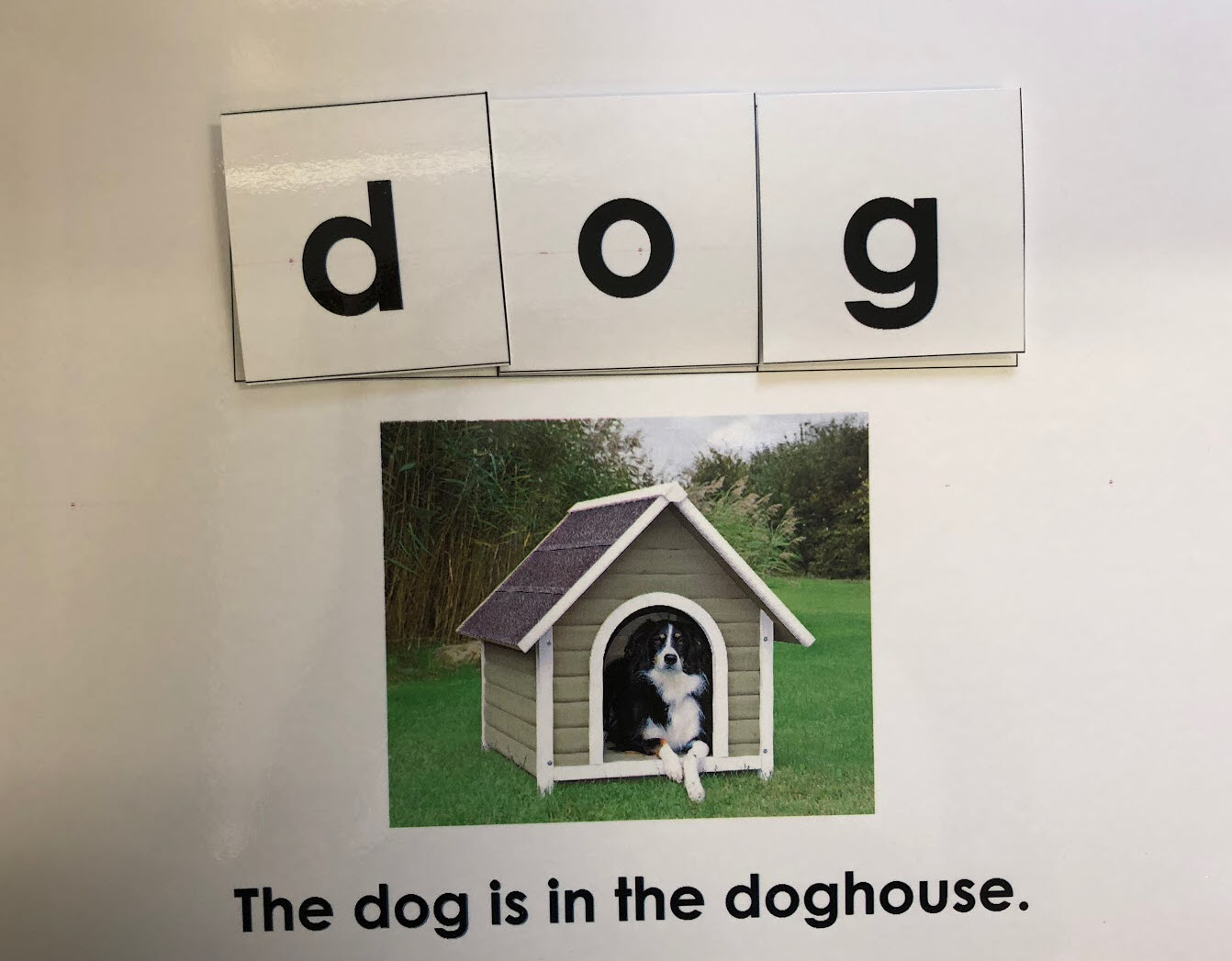 Sight Word Detective – Learning4Success