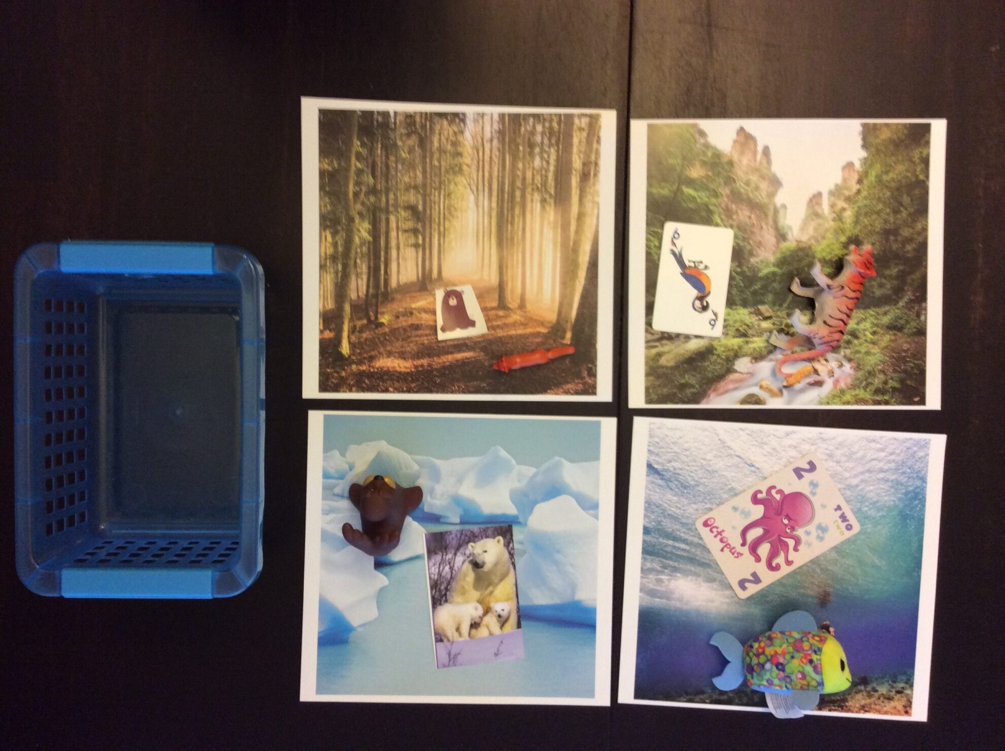 Sorting Animals – Learning4Success