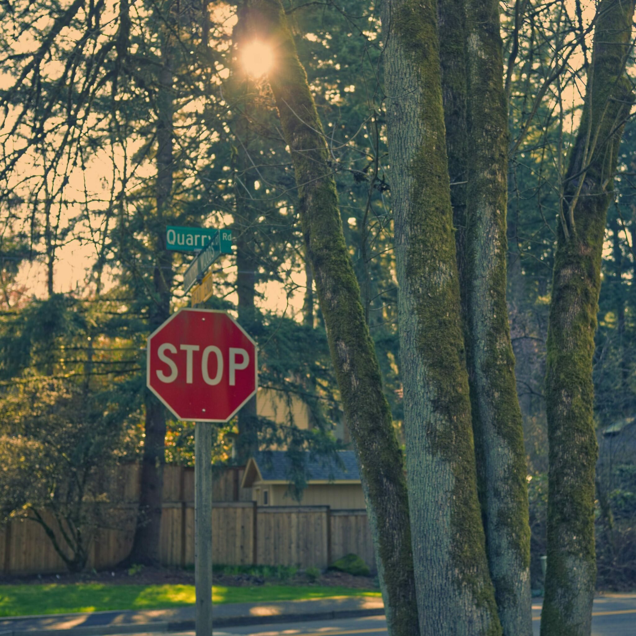 Identifying Community Signs & Features – Learning4Success