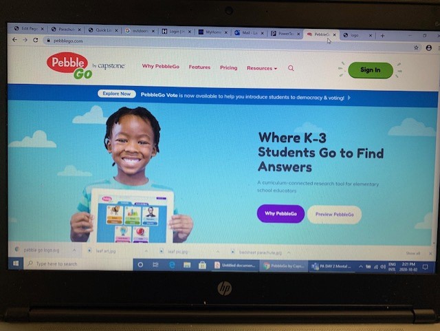 Welcome to Remote Learning for the 2020/2021 School Year! | Room 11 at ...