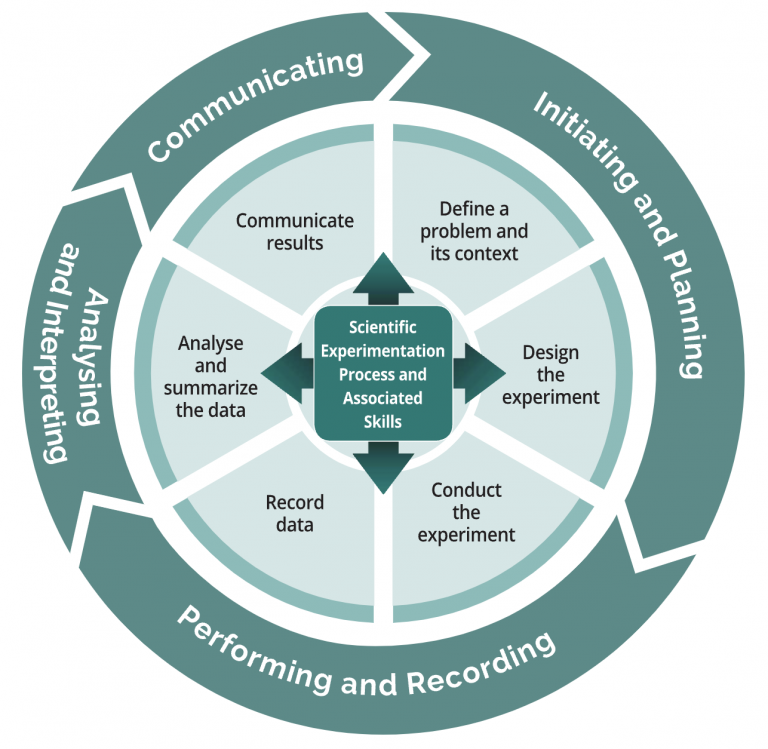 👩‍🔬 Science and Social Studies – Mr. Tim Hewitson