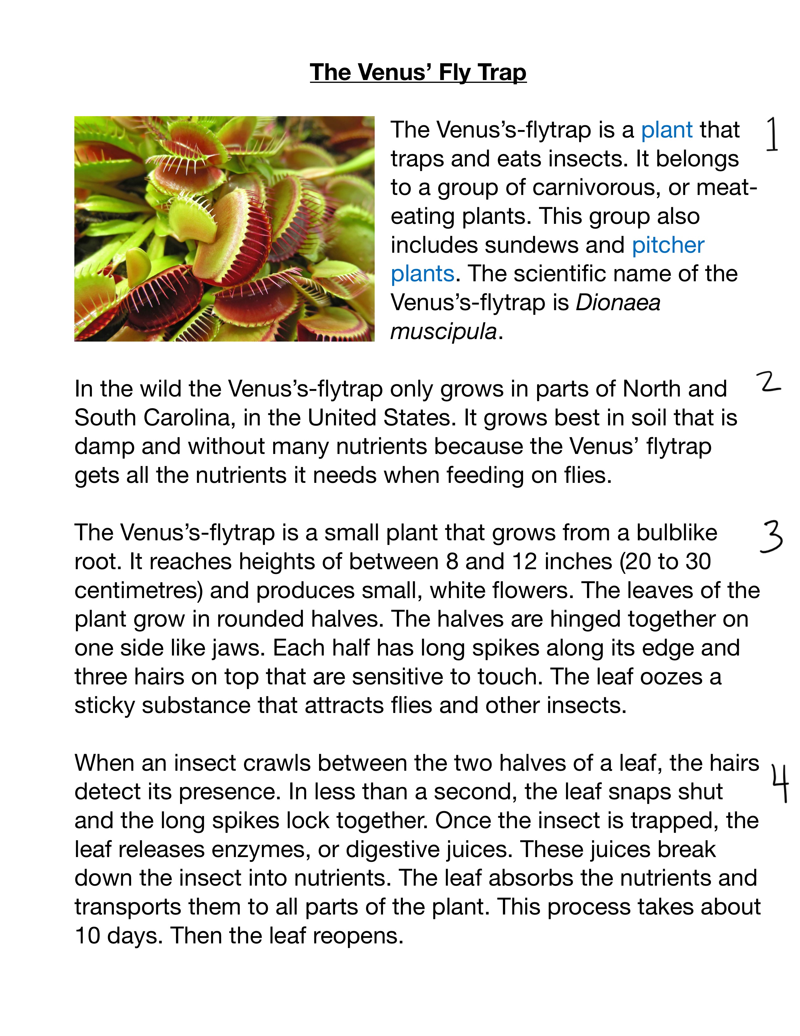 The Venus’ Flytrap – Spring Valley Grade 6 Class Blog