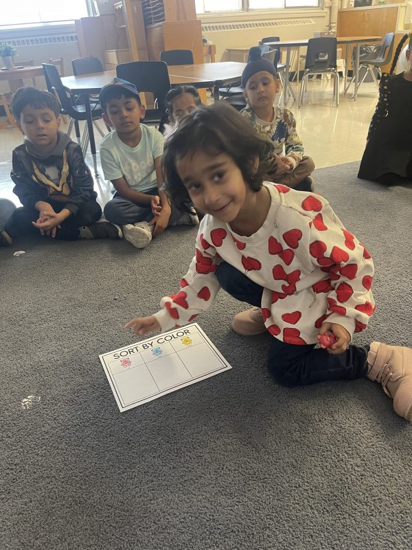 Sorting colours, sizes and shapes, oh my!
