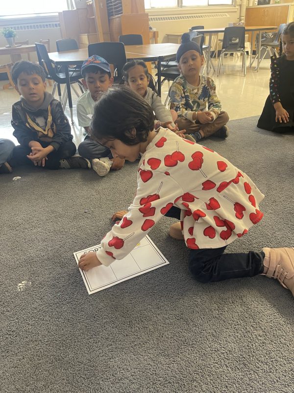 Sorting colours, sizes and shapes, oh my!