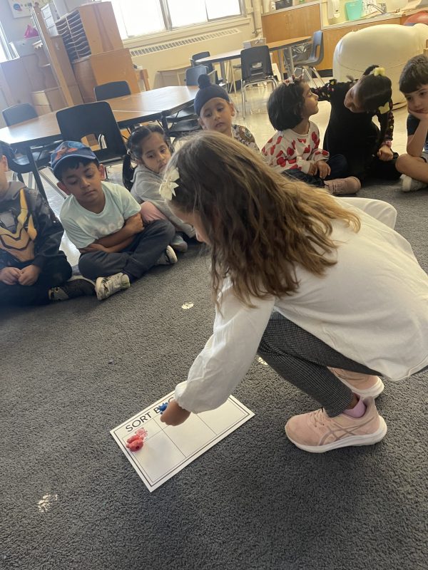 Sorting colours, sizes and shapes, oh my!