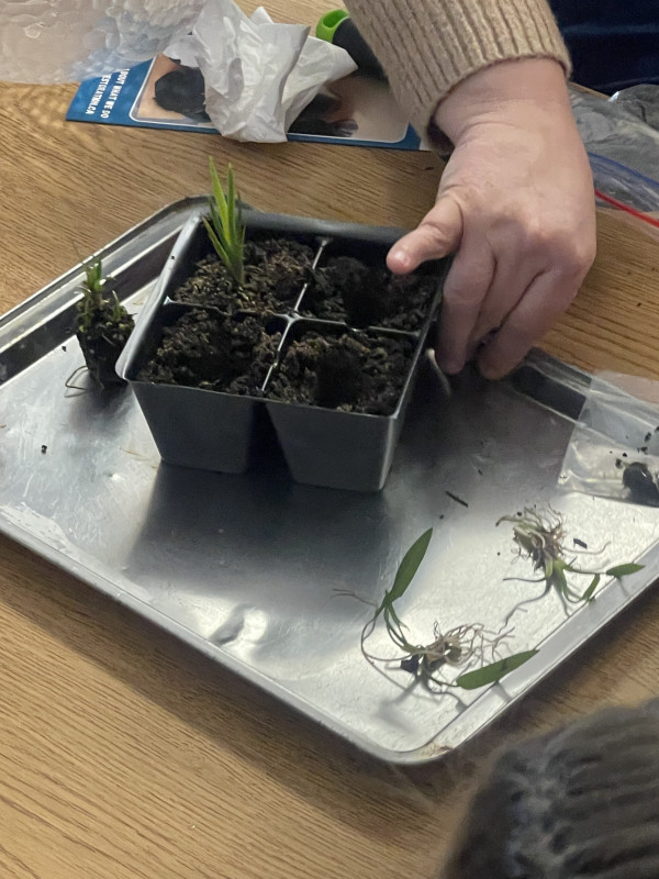 An Exciting Opportunity for Tapleytown’s Kinders 🌿💧🐌