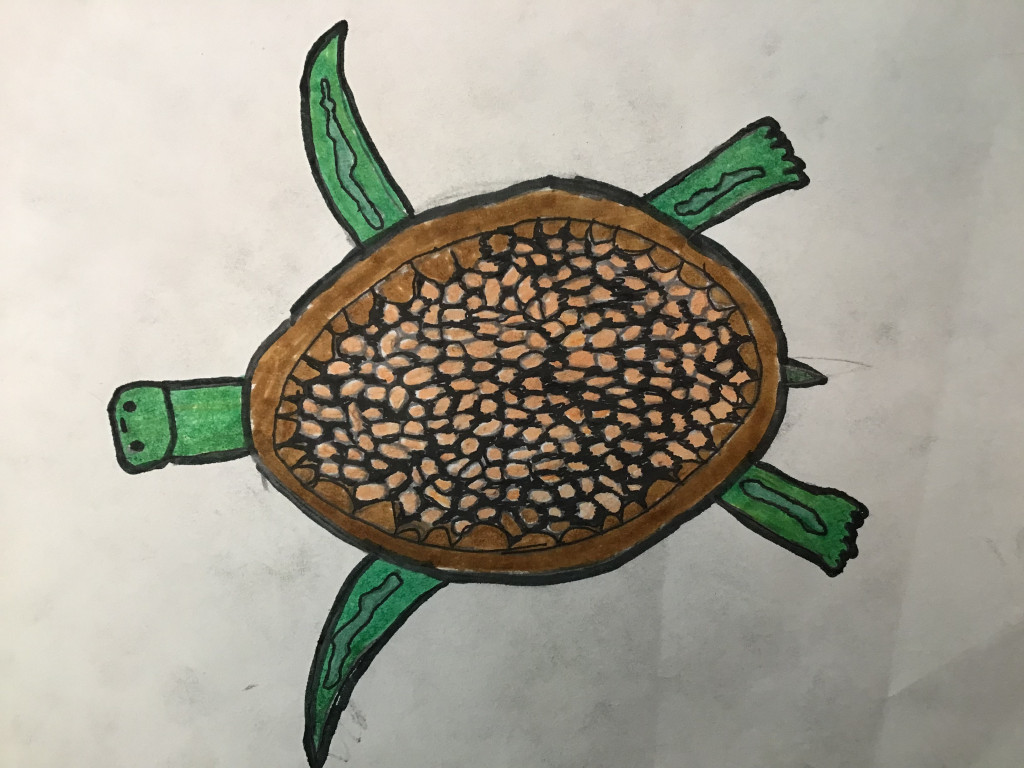 Woodland Style and Carl Ray Art study – La classe de Mme Zess 2023-2024