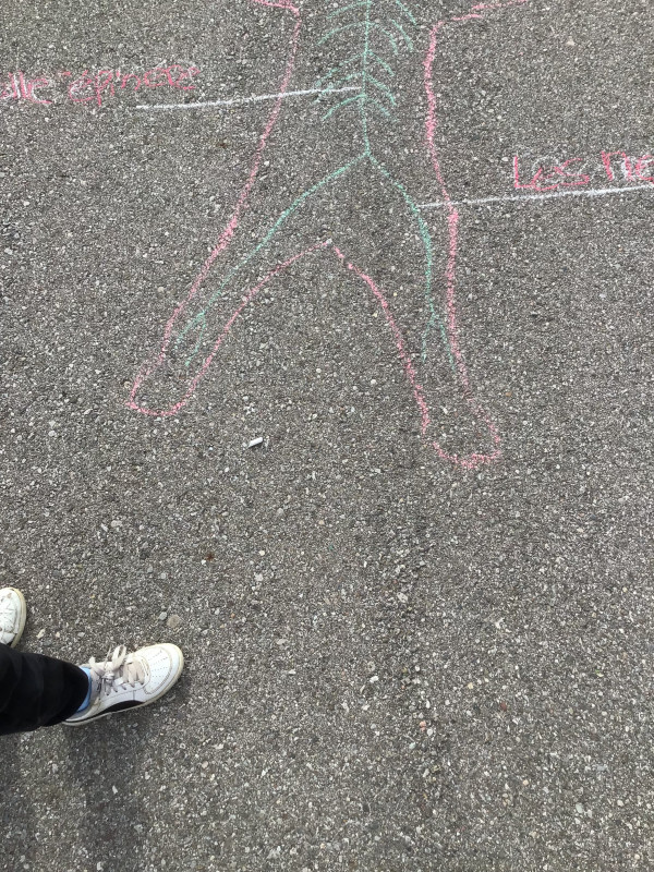 Human Body Systems Chalk outlines – La classe de Mme Zess 2023-2024