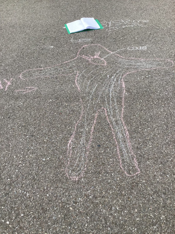 Human Body Systems Chalk outlines – La classe de Mme Zess 2023-2024