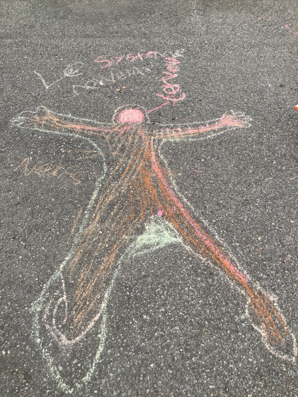 Human Body Systems Chalk outlines – La classe de Mme Zess 2023-2024
