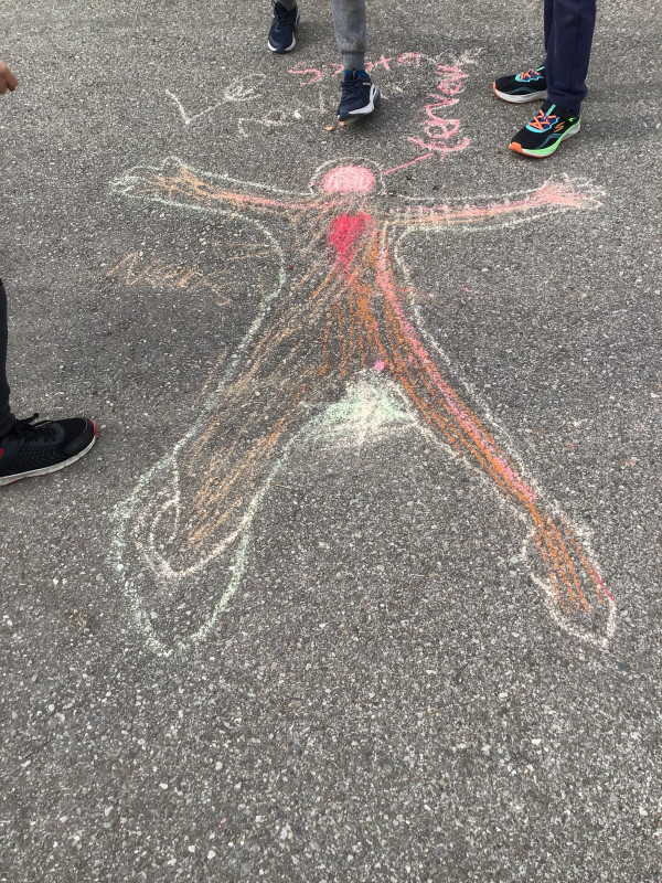Human Body Systems Chalk outlines – La classe de Mme Zess 2023-2024