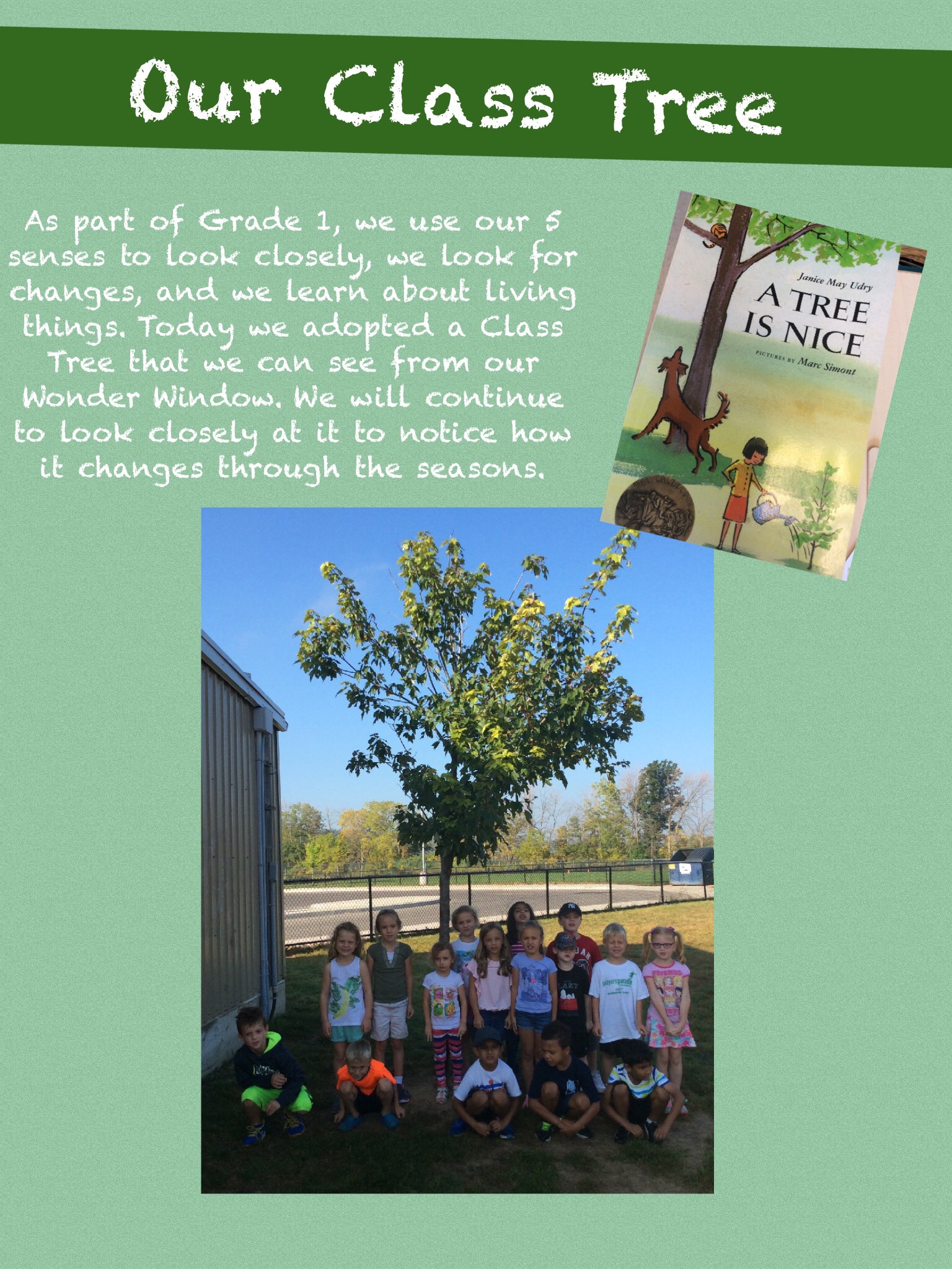 Our Class Tree | Grade 1 with Mrs. Dale