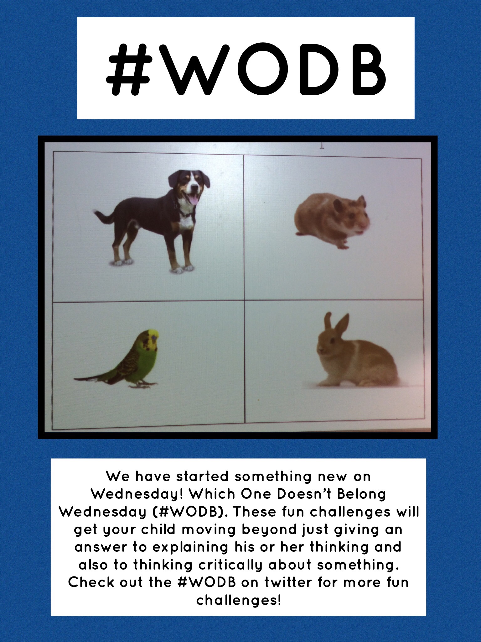 #WODB | Grade 1 with Mrs. Dale