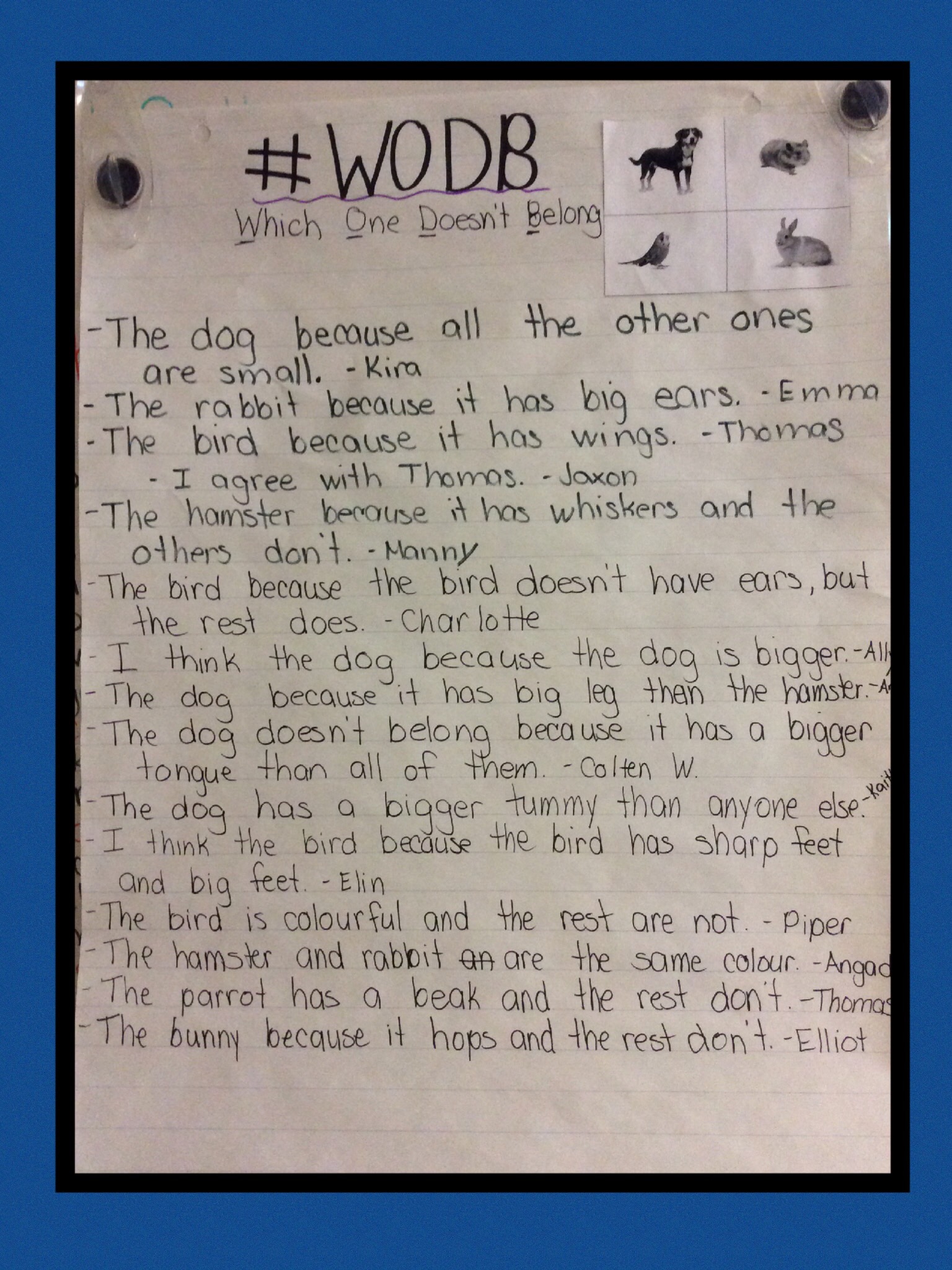 #WODB | Grade 1 with Mrs. Dale