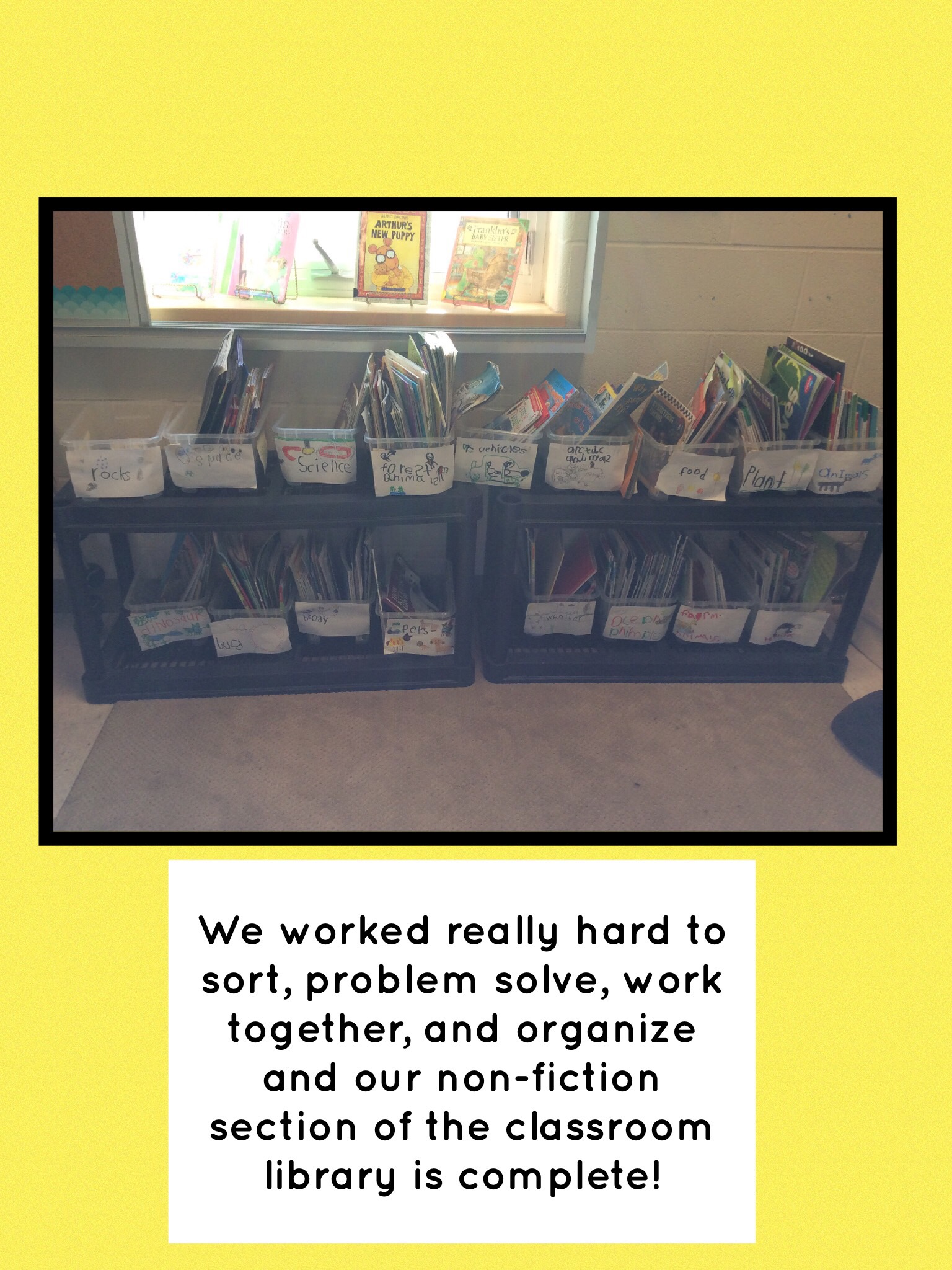 Building Our Classroom Library | Grade 1 with Mrs. Dale