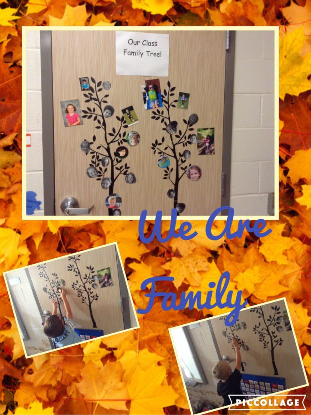 Our Class Family Tree | Morningstar Joosse Kinders