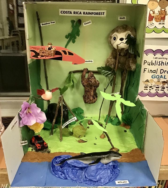 Grade 4 Habitats – Mrs. Hoy's Fabulous 3's & 4's!