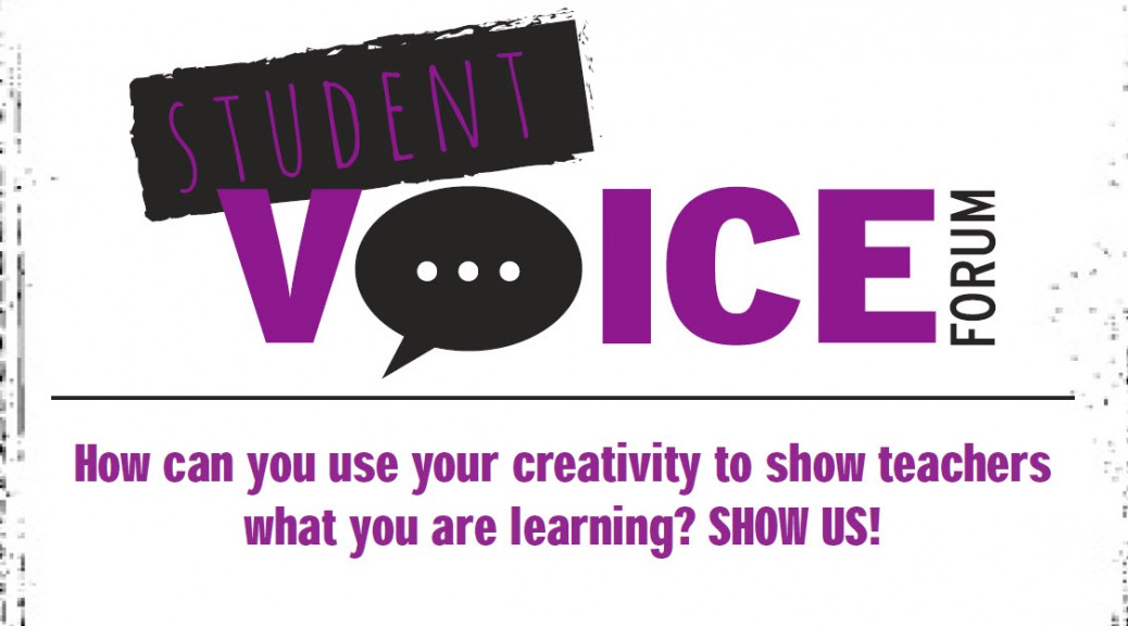 The Director's Student Voice Forum | THEIR Voice, THEIR Way!