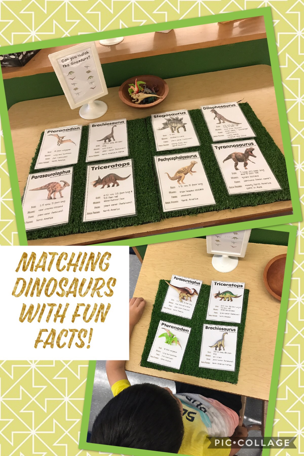 Dinosaur Inquiry | Kindergarten Corner