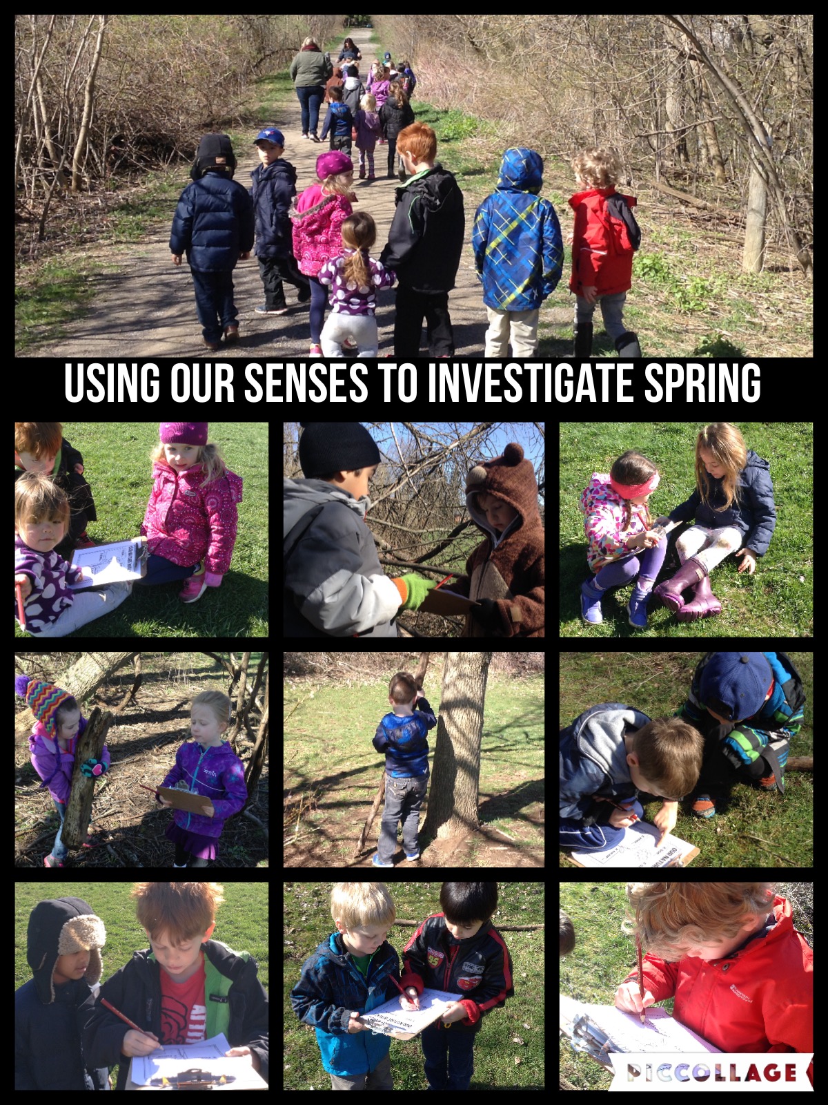 Spring Inquiry | Our Kindergarten Journey