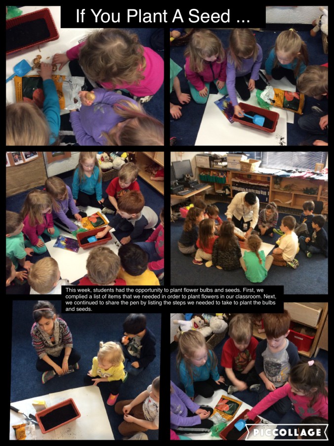 Spring Inquiry | Our Kindergarten Journey