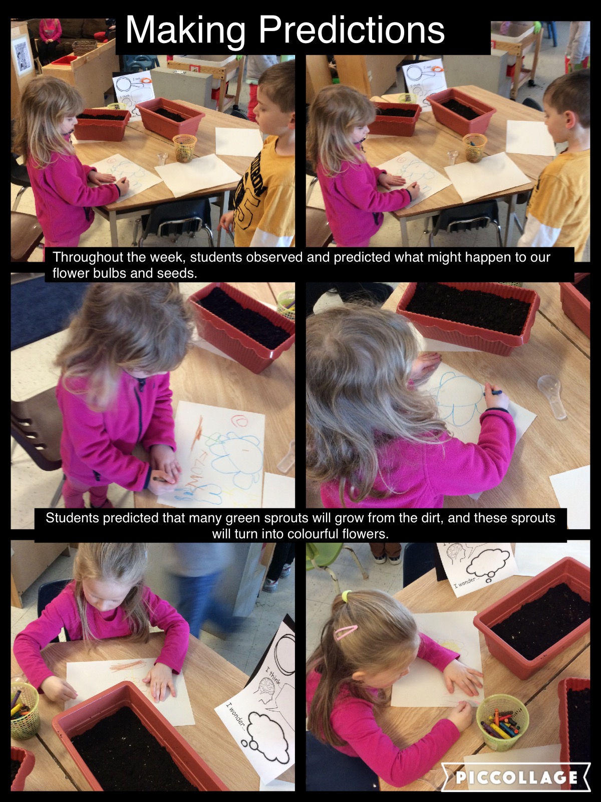 Spring Inquiry | Our Kindergarten Journey