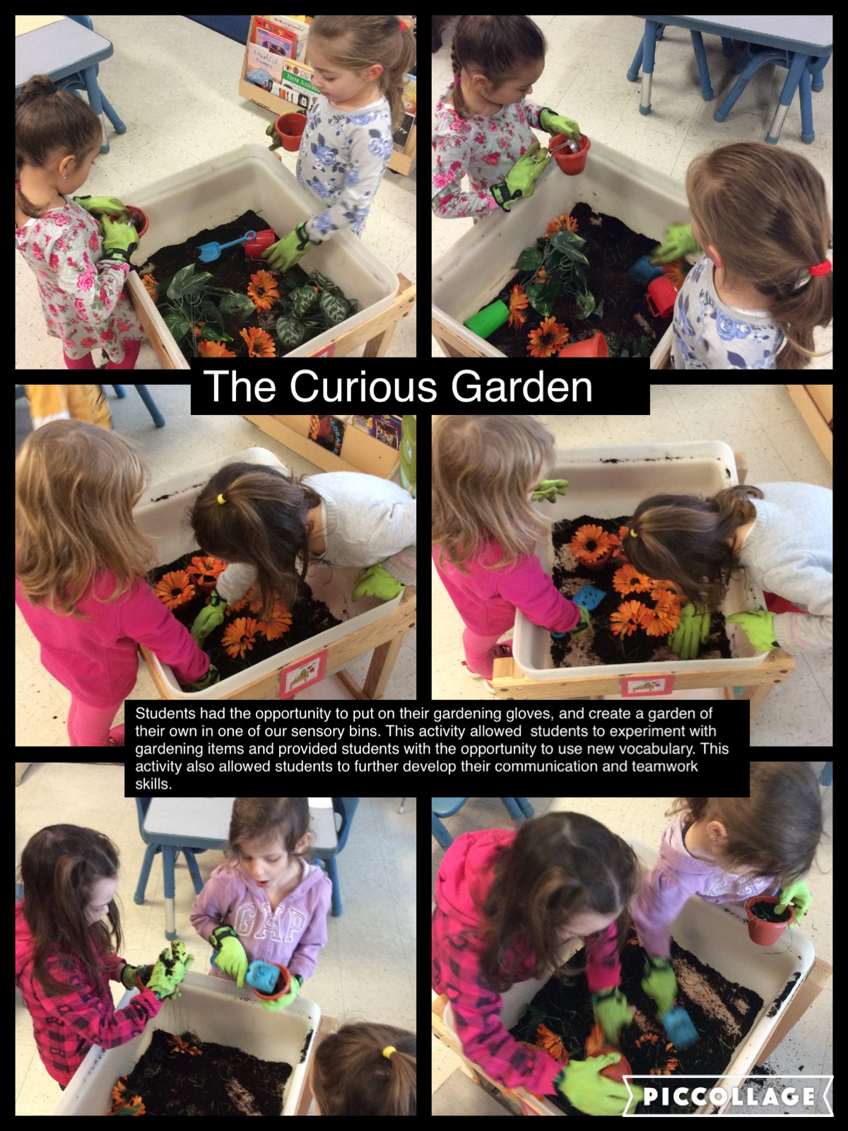 Spring Inquiry | Our Kindergarten Journey