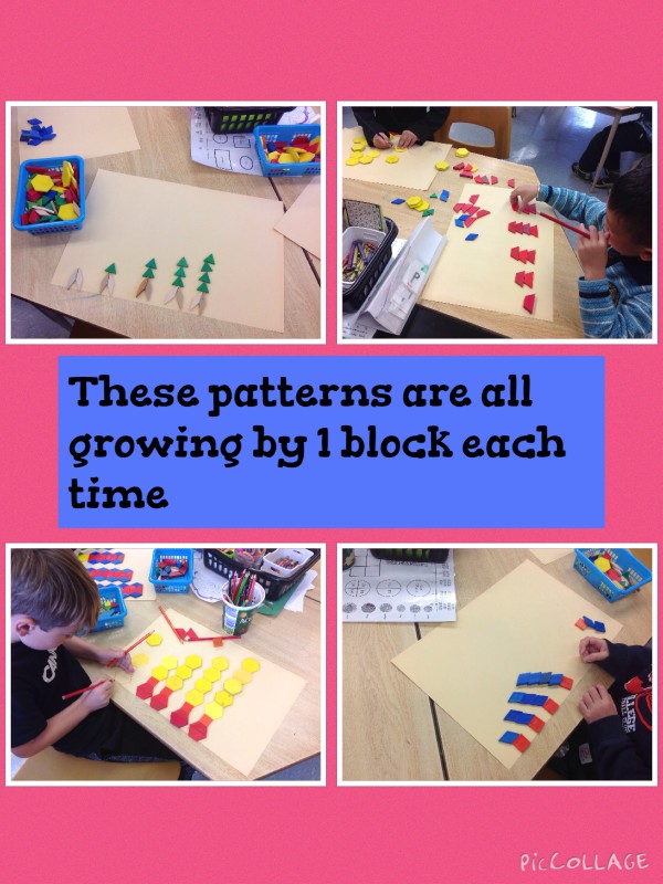 growing-patterns-mrs-moulton-s-class