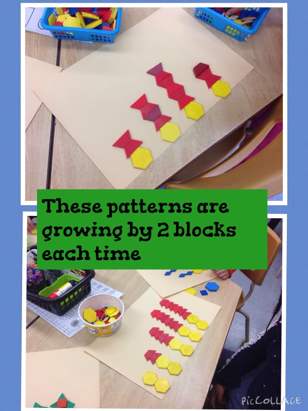 Growing Patterns | Mrs. Moulton's Class