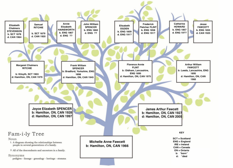 Social Studies – Our Family Trees – Oct. 3/2016 – Fawcett's Class