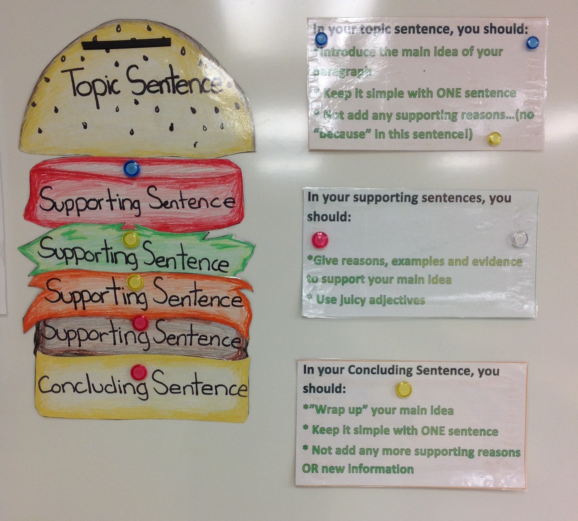 Paragrah Writing | Welcome to Miss Jelicic's Blog!