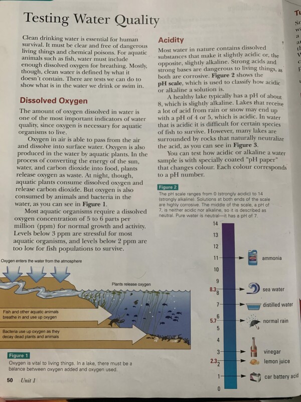 Science: Testing Water Quality – Steiner Grade 7A Homeroom