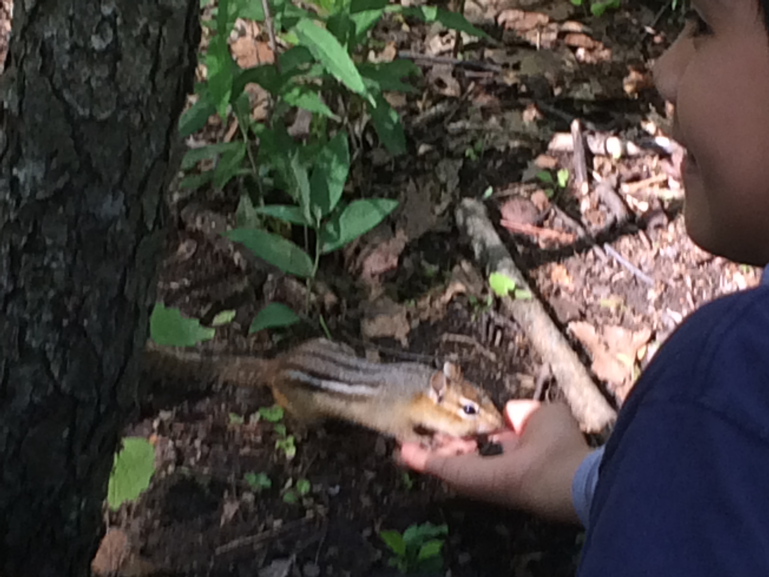 Carol Gaudet | Thoughts on teaching ESL