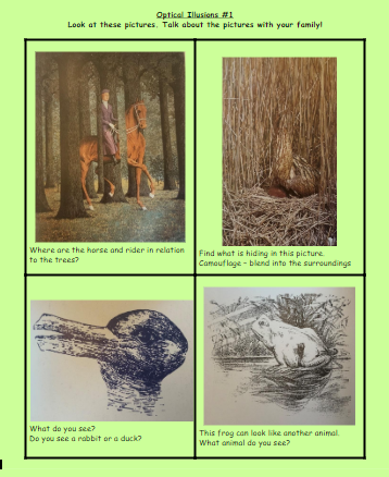 Optical Illusions – Carol Gaudet