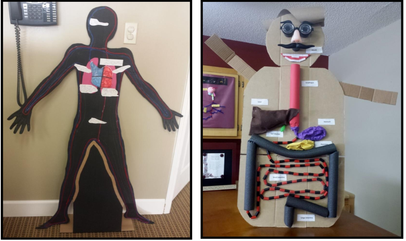 Human Body Research Project – Les 5e années de Mlle Marchese